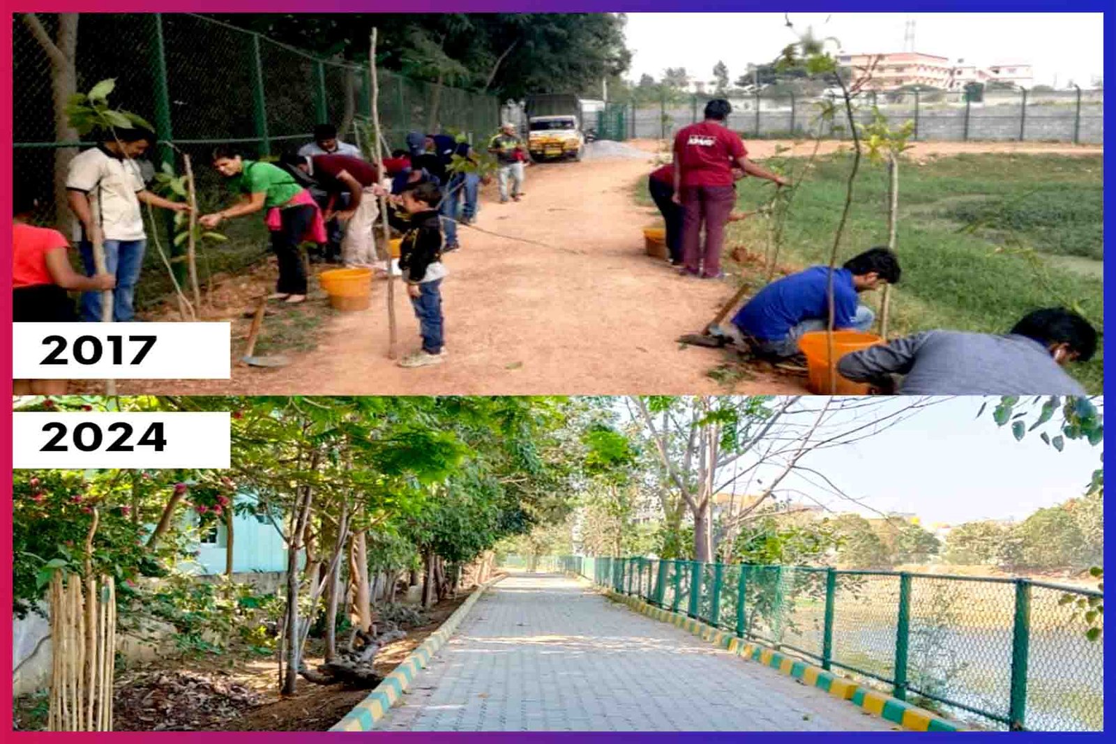 SayTrees Environmental Trust: The Green Crusaders